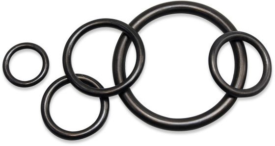Durable NBR O Rings Kit Chemical Resistant For Hydraulic Pumps